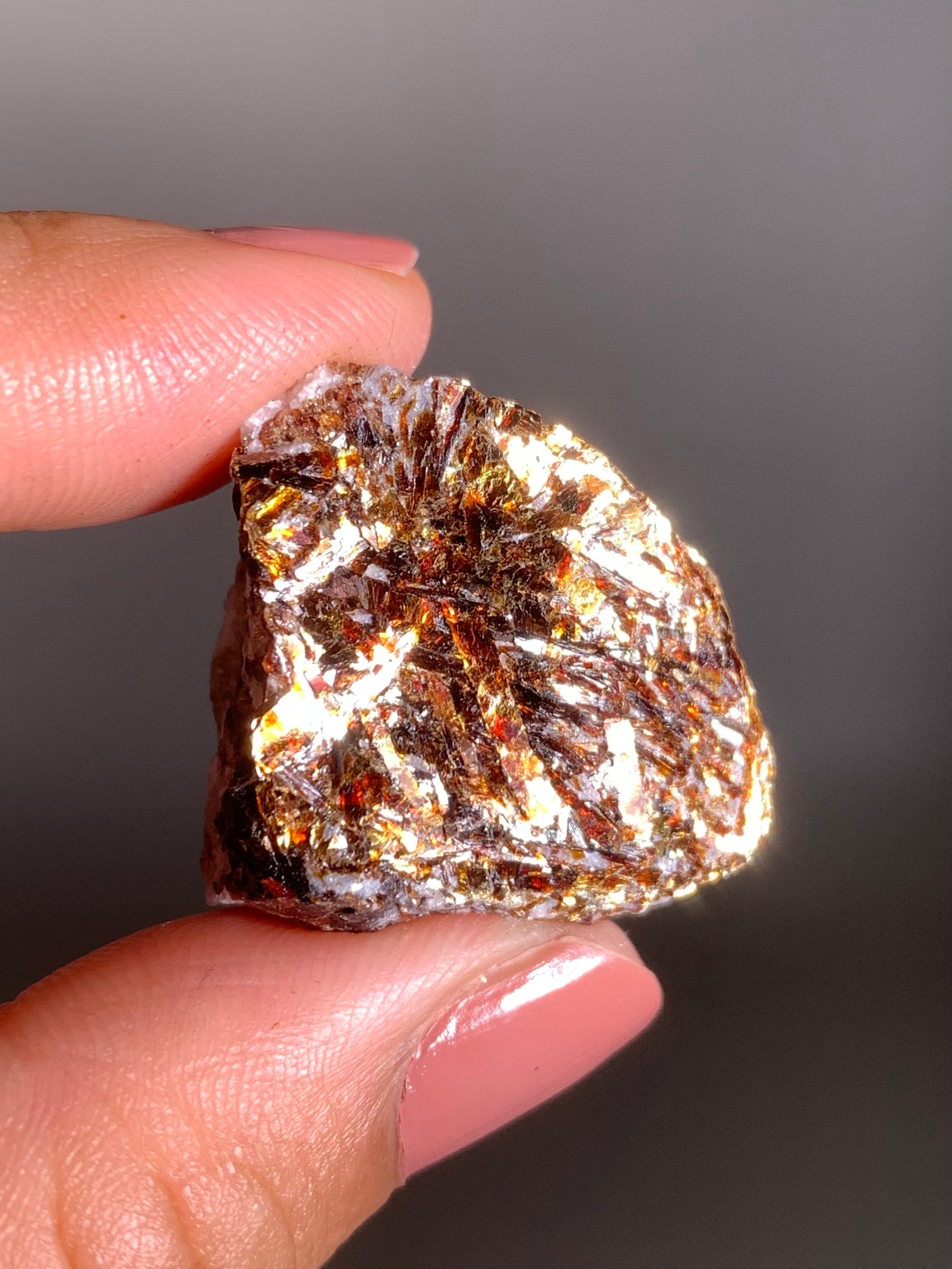Astrophyllite Specimen – Rain & Stone Minerals