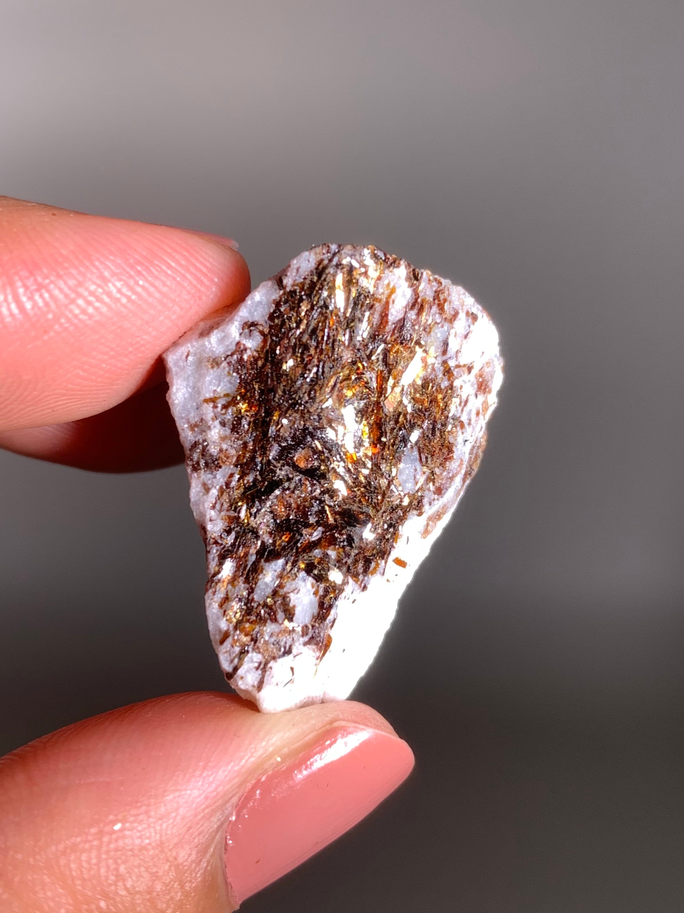 Astrophyllite Specimen – Rain & Stone Minerals