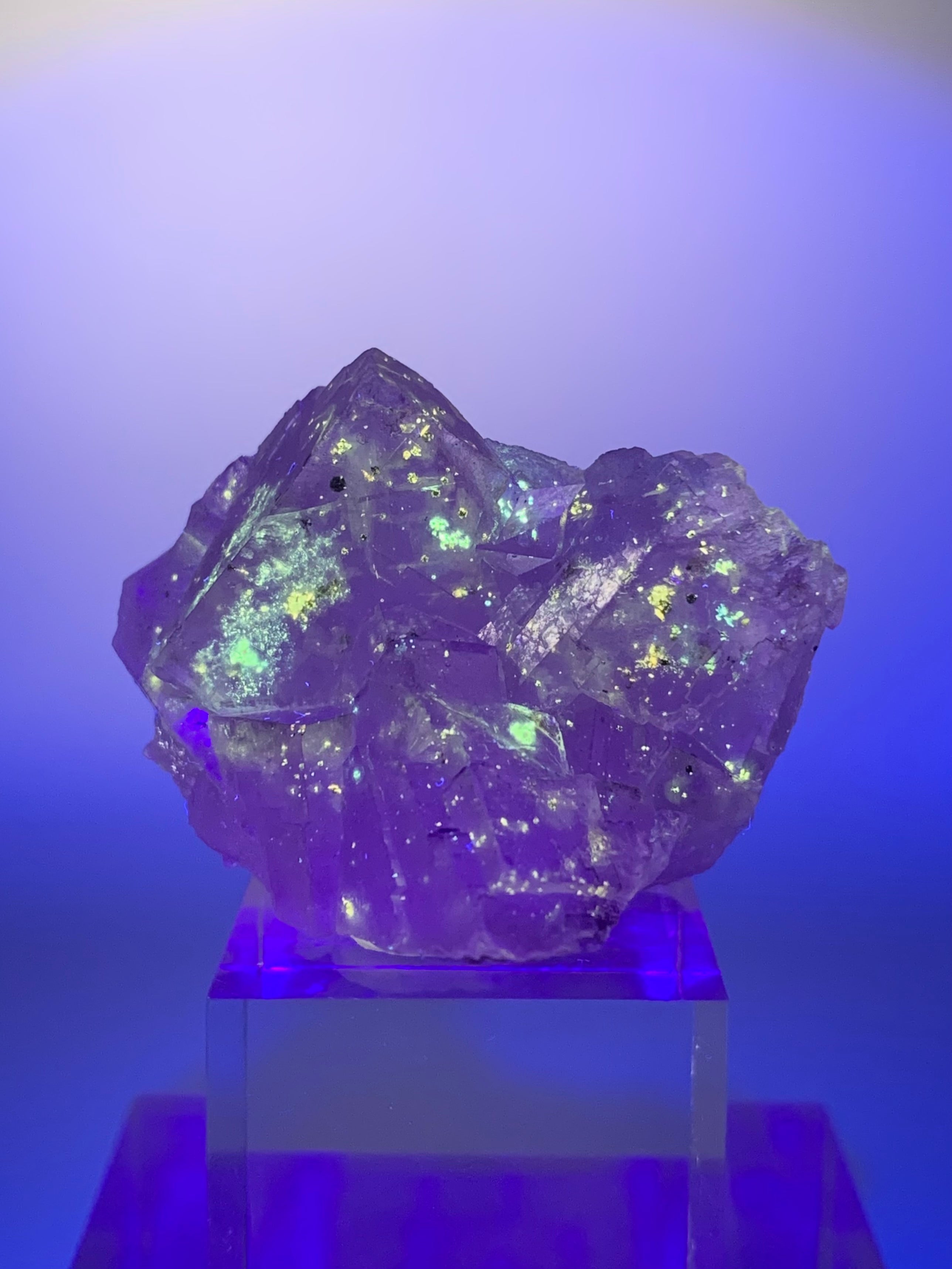 Galaxy Fluorite – Rain & Stone Minerals